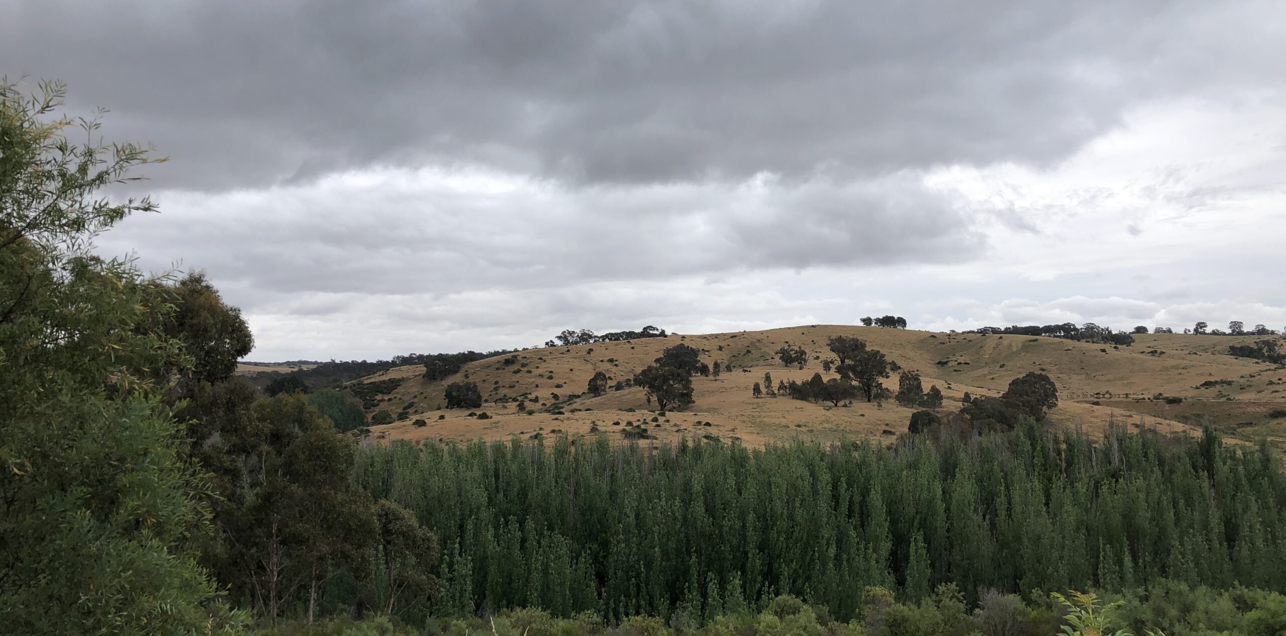 Gold Fossicking in Castlemaine – Anita Vacation